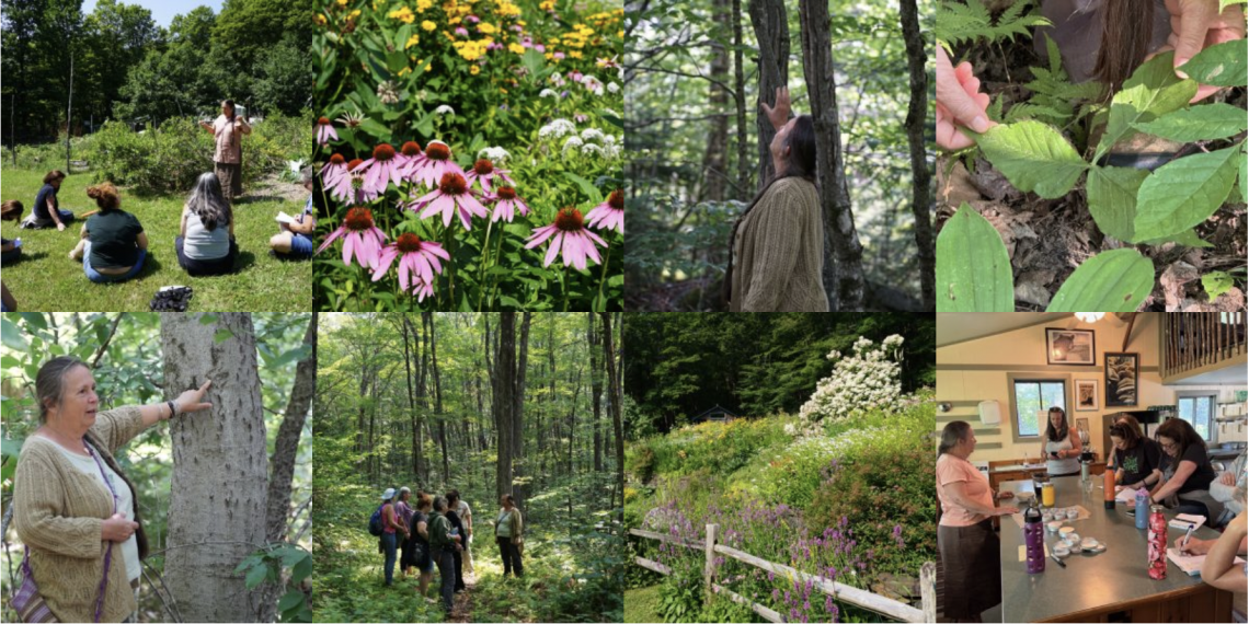 Home - Sage Mountain Botanical Sanctuary
